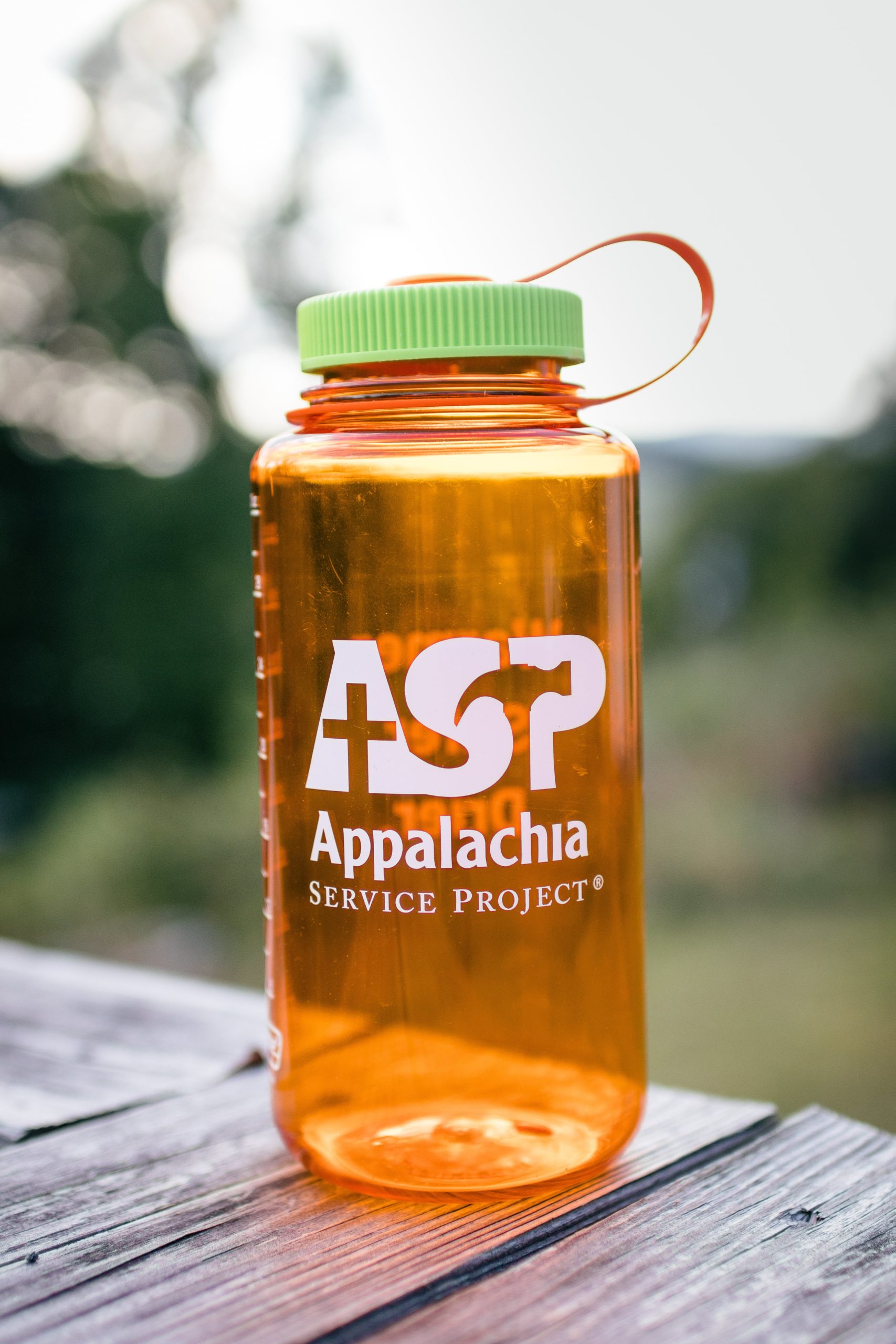 Departmental Interns - Appalachia Service Project