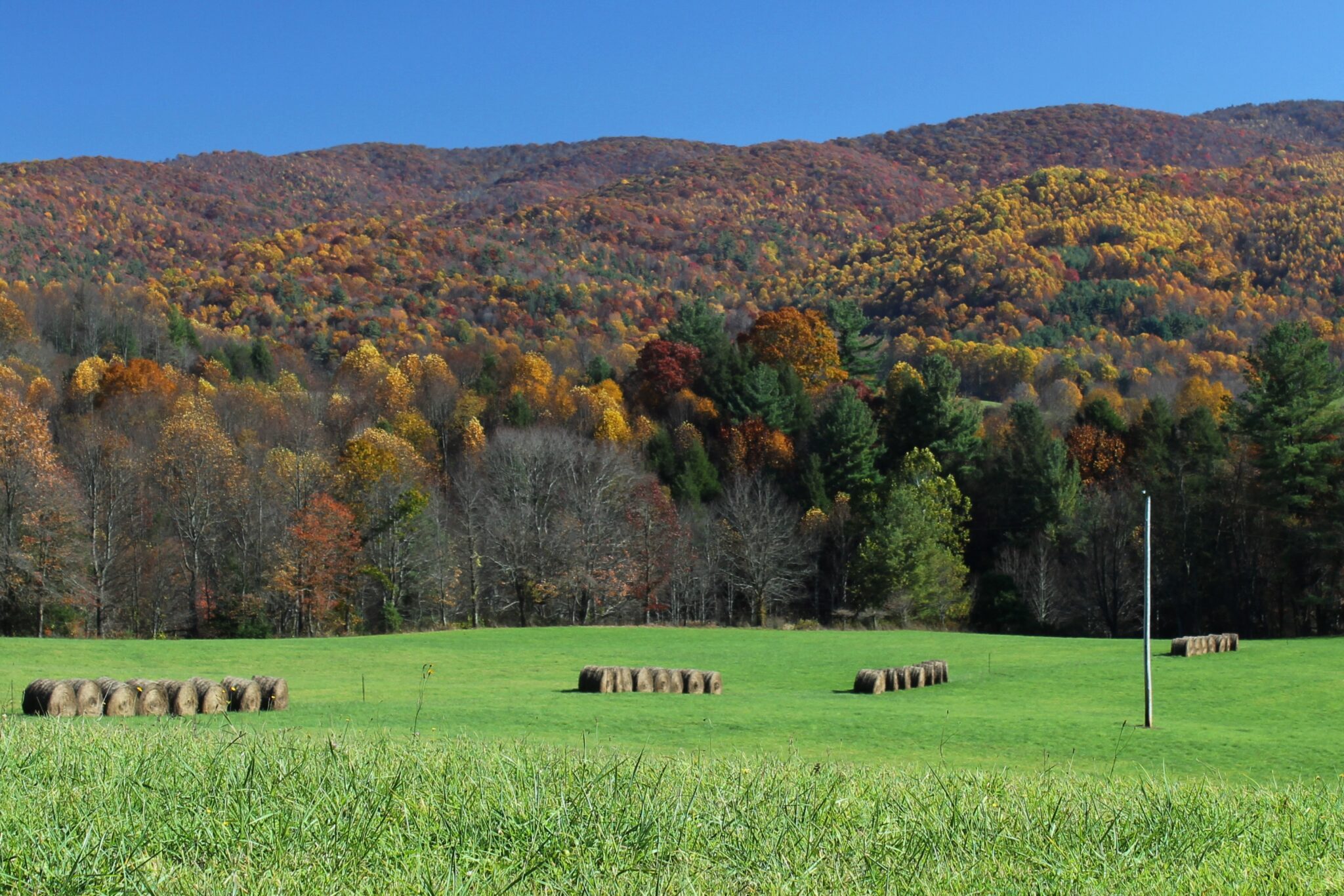 TN Johnson - Appalachia Service Project